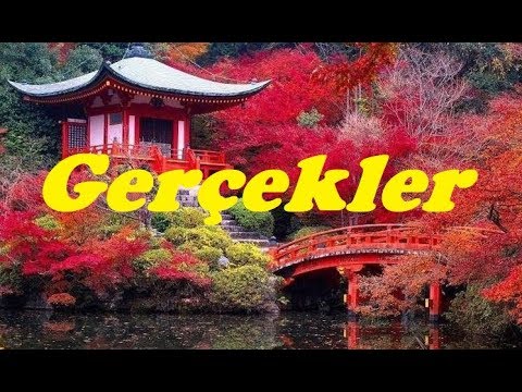Animelerdeki Japonya Yalanları