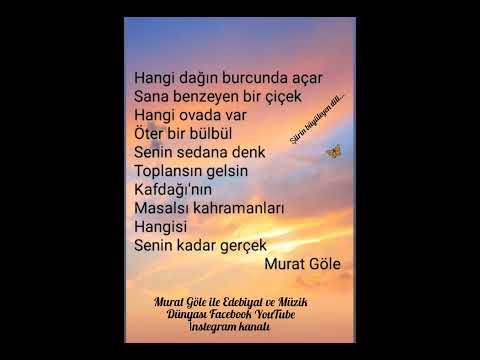 Şiirin Büyüleyen Dili/Murat Göle -Hangisi Sen 🦋