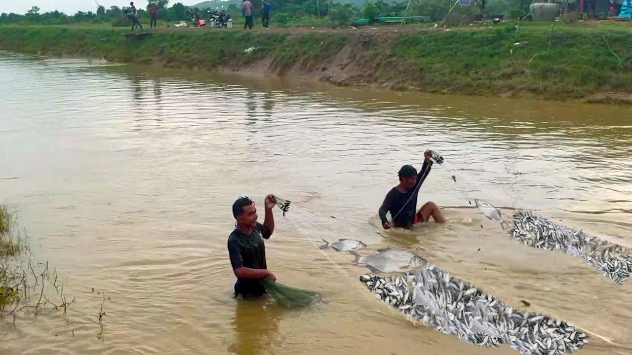 Fishing!!! Real life 100% Net Fishing In The River At The Countryside ...