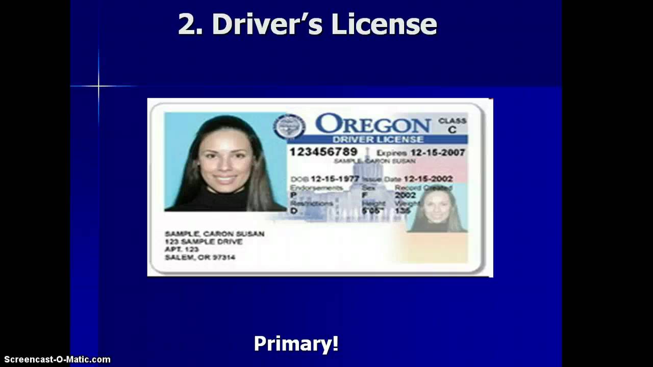 How Do Historians Study History