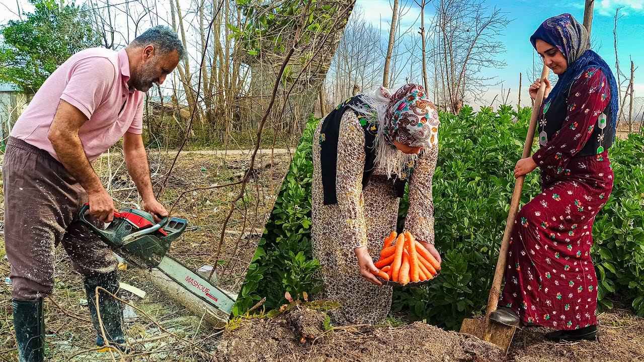 Making delicious jam with local carrots | Cooking jam on firewood - YouTube