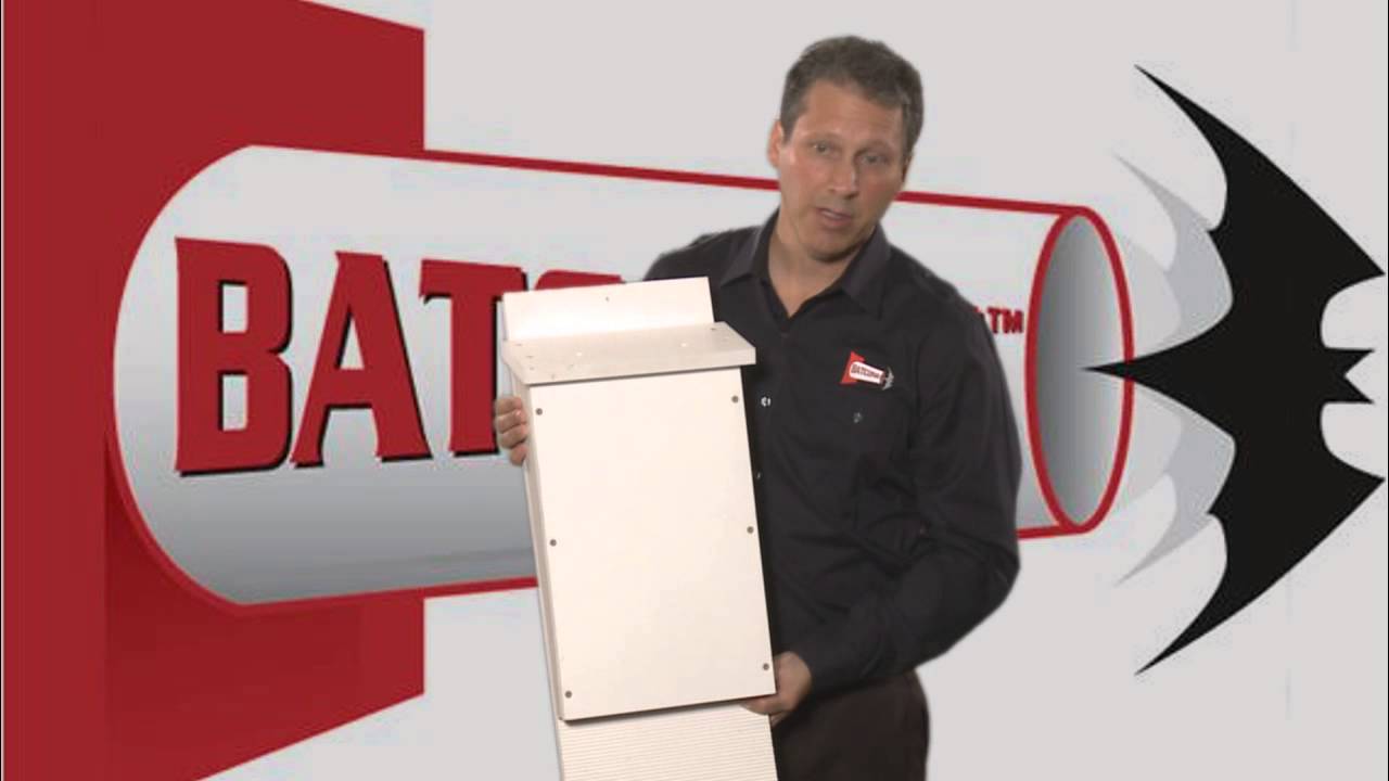 Learn About Batcone Bat Houses - YouTube