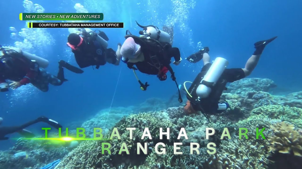 Amazing Earth: Tubbataha Reef Rangers at ang challenge kay Miss Earth ...