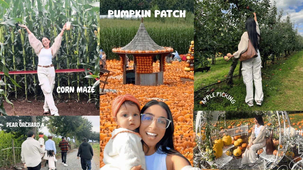 Pumpkin Patch + Apple Picking with my in laws | Fall Food, Corn Maze ...