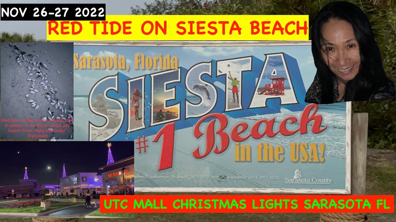 Red Tide, Drum Circle On SIESTA BEACH. CHRISTMAS LIGHTS at UTC MALL ...