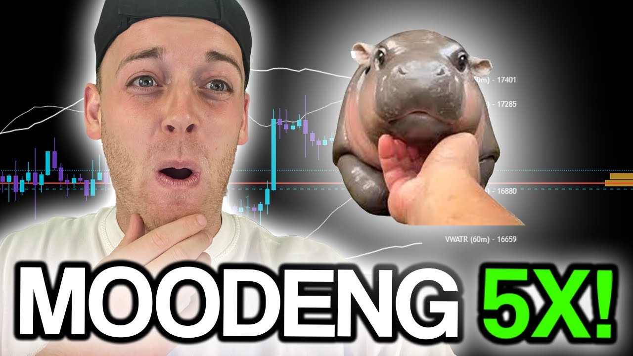 Moo Deng is EXPLODING!! CAN IT 5X?! - YouTube
