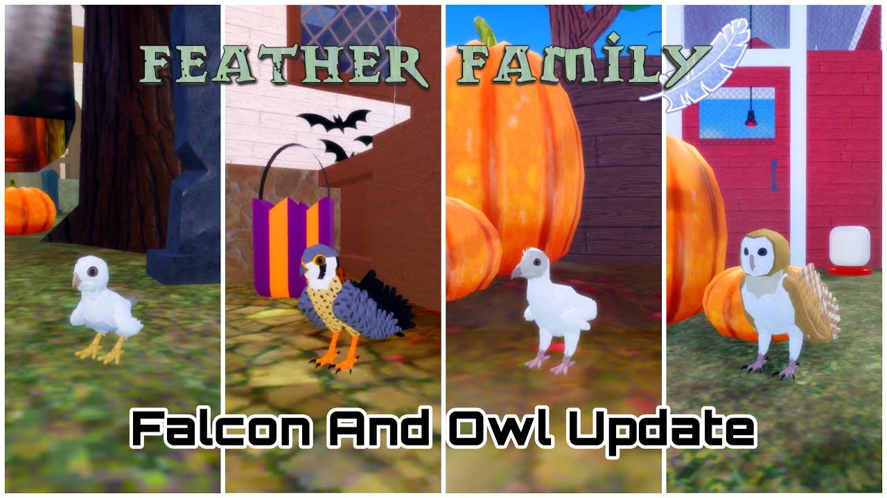 Feather Family Falcon And Owl Update - YouTube