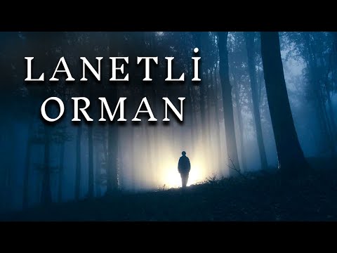 Muğla'dan Arkadaşlarla Kamp Yapmaya Cinli Lanetli Ormana Gittik | Korku Hikayeleri | Paranormal