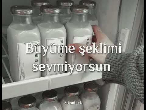 Allie X - Milk (Türkçe Çeviri)