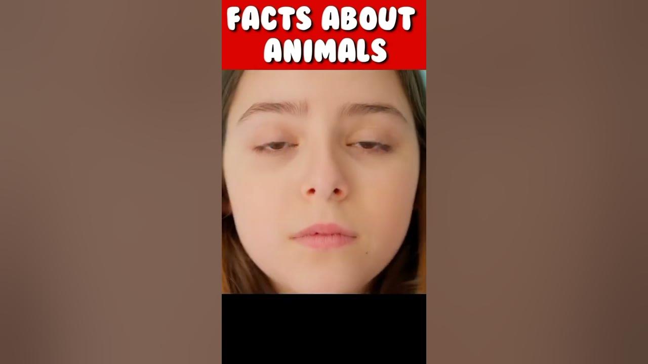 Top 10 Mystery Facts About Animals In Hindi Interesting Facts About top-10-mystery-facts-about-animals-in-hindi-interesting-facts-about