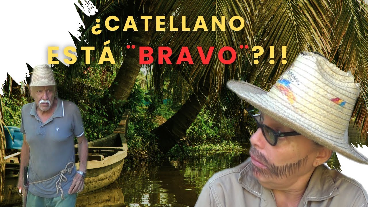 !!CATELLANO Y LA BRAVURA DE PALOMINO!? - YouTube