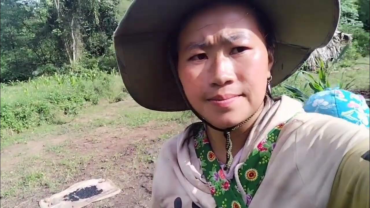 hnub no peb mus khawb teb thiab mu saib teb os - YouTube