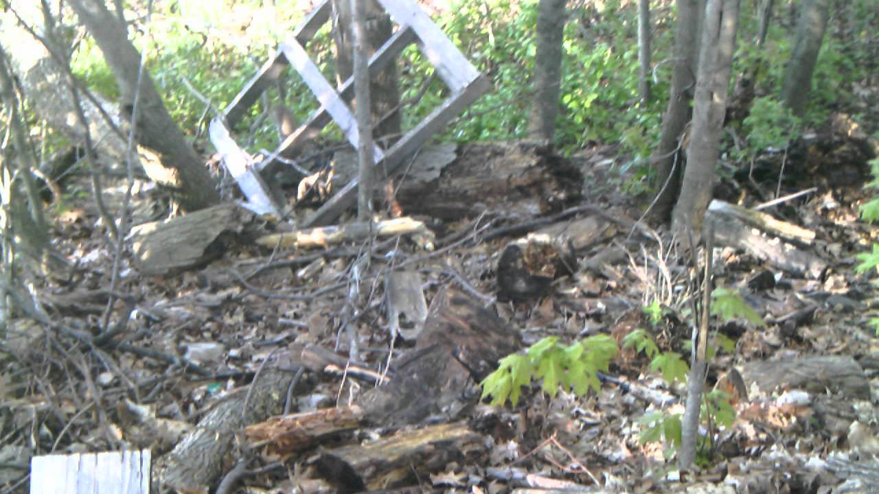 Daisy Powerline 880 hunting #1 - YouTube