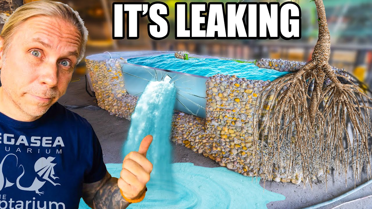 Water Leak Memes Leak Water Leak GIF Leak Water Leak Leek Discover