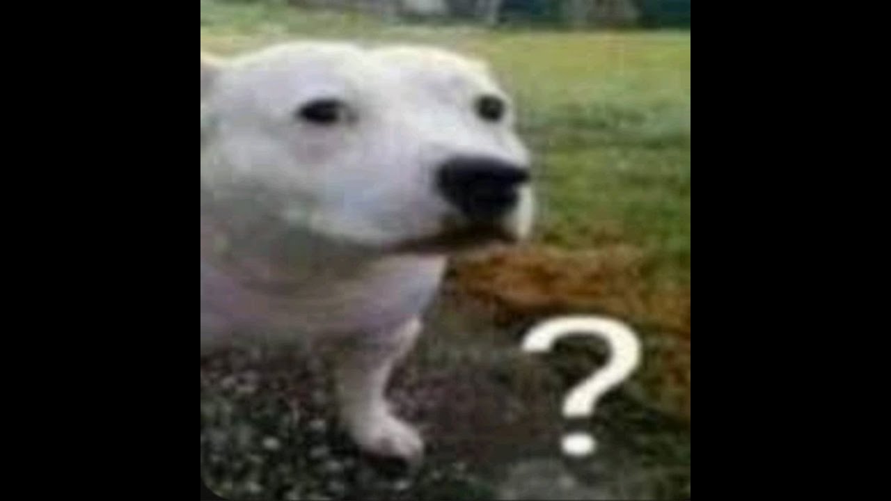 cosas q no me importan pero quiero saber mientras intento hacer un ...