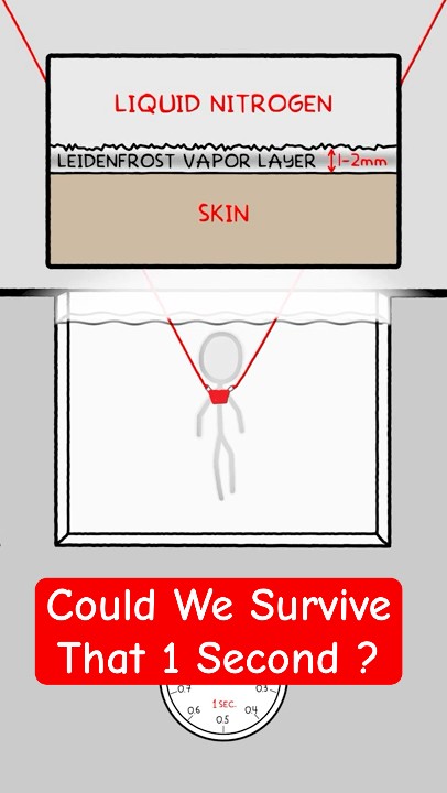 What If You Were Dunked In Liquid Nitrogen For 1 Second ??? #WhatIf # ...