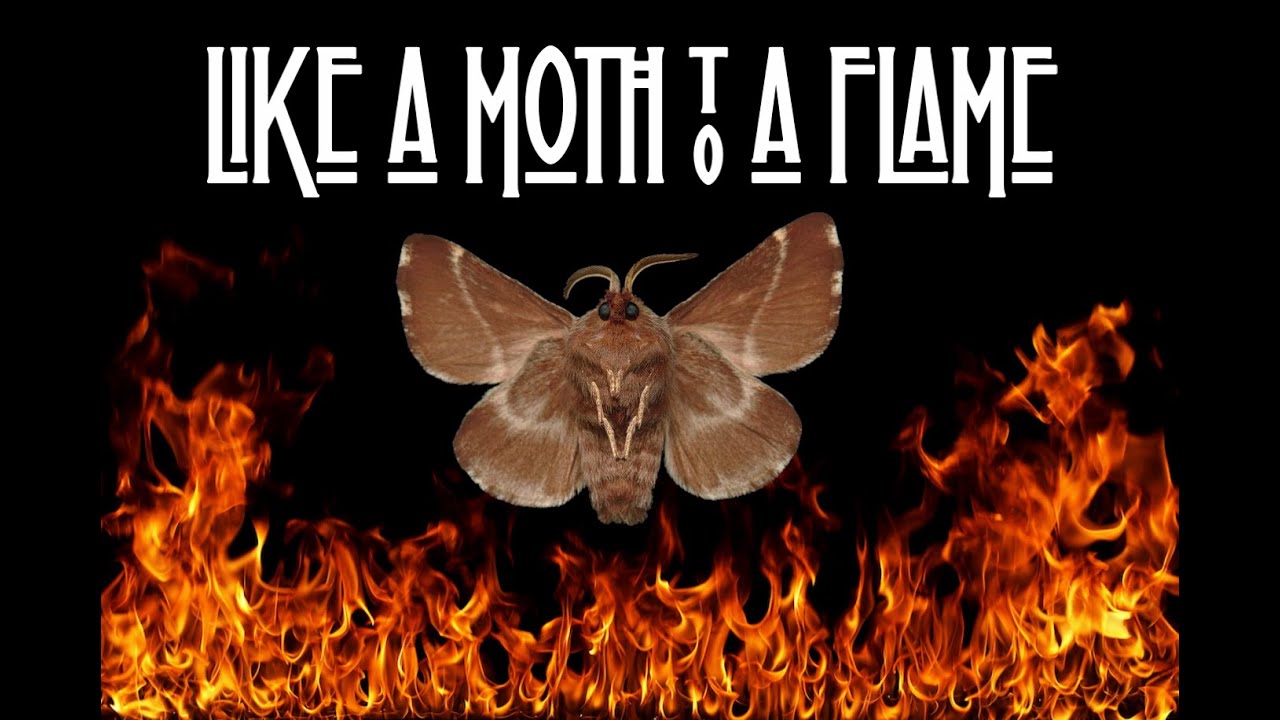 Like a Moth to a Flame - YouTube