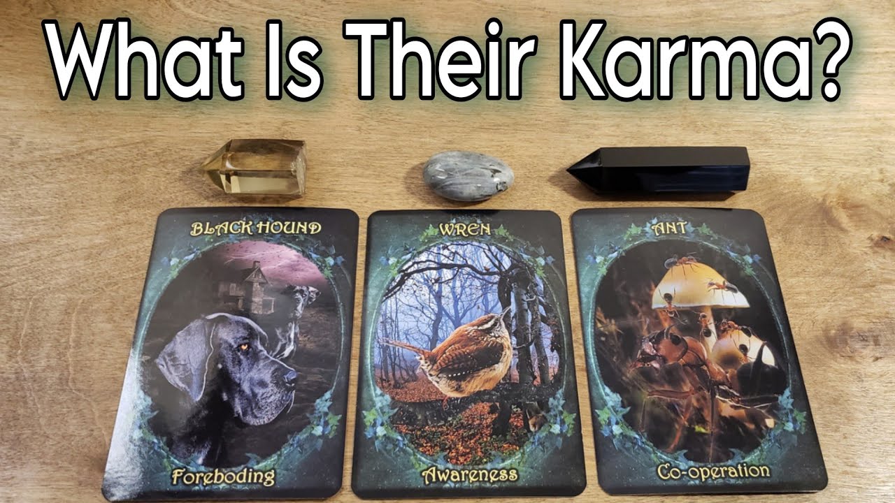 ⚖🧿 What Is Their Karma? ⚖🧿 Pick A Card Reading - YouTube