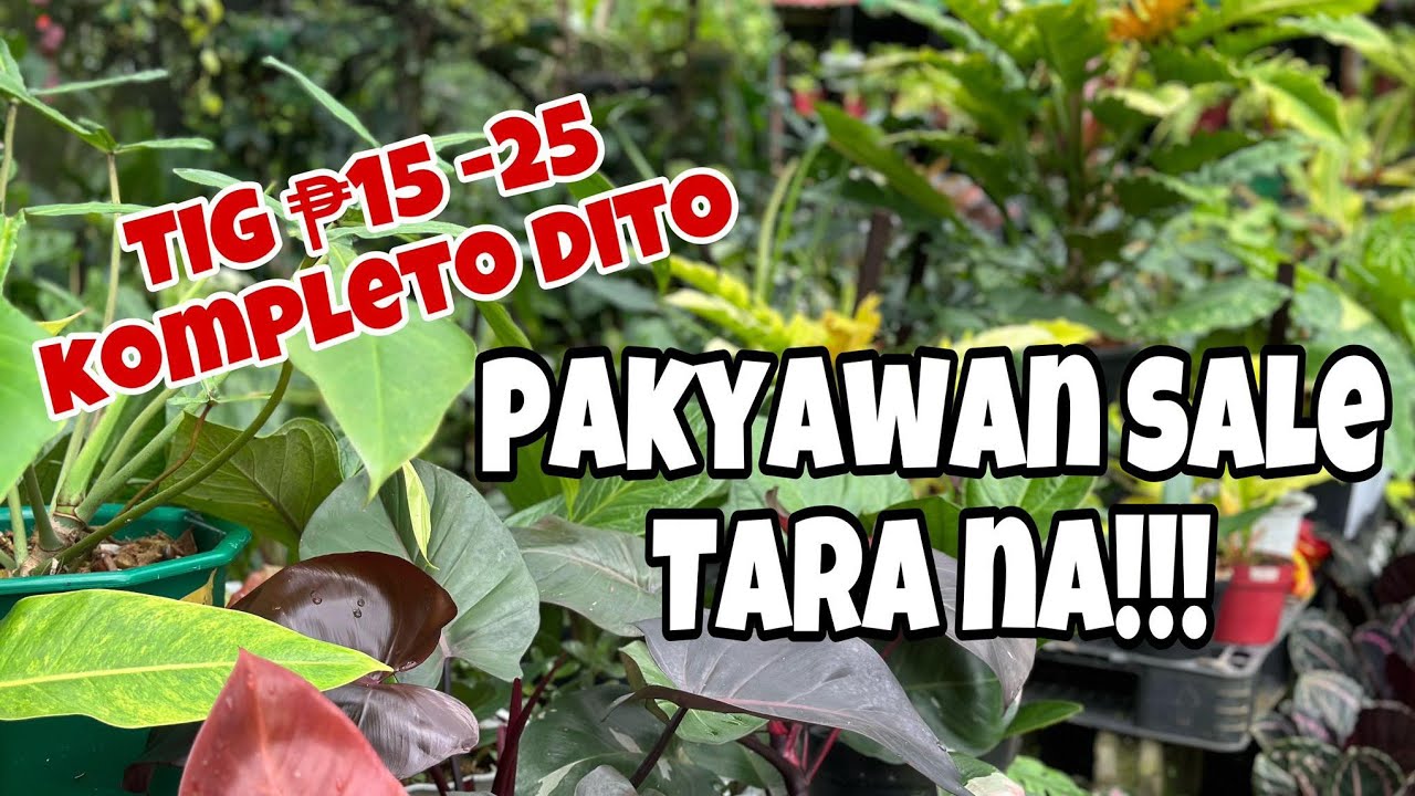 PAKYAWAN SALE TARA KOMPLETO!!! - YouTube