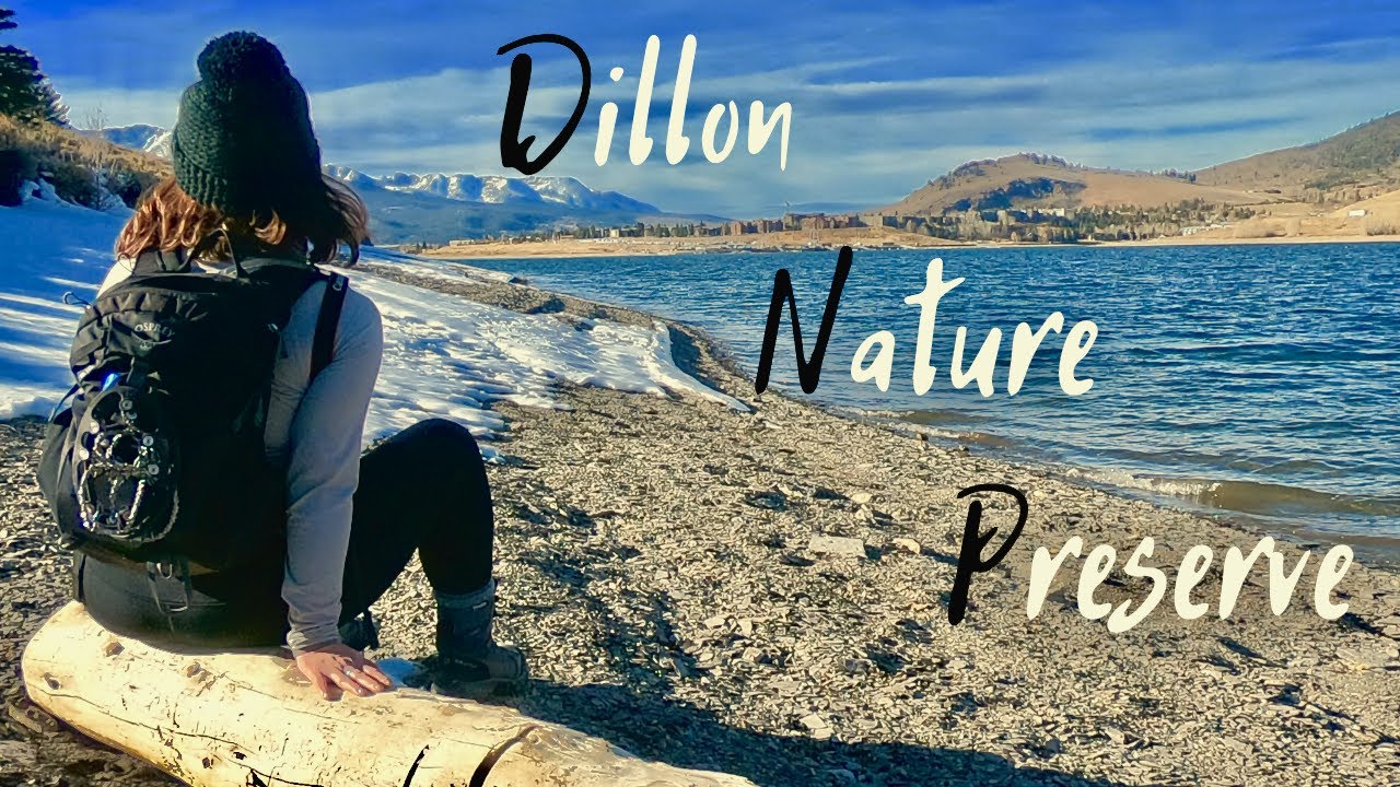 Dillon Nature Preserve - Meadow and Ridge Trail - (2020) - YouTube