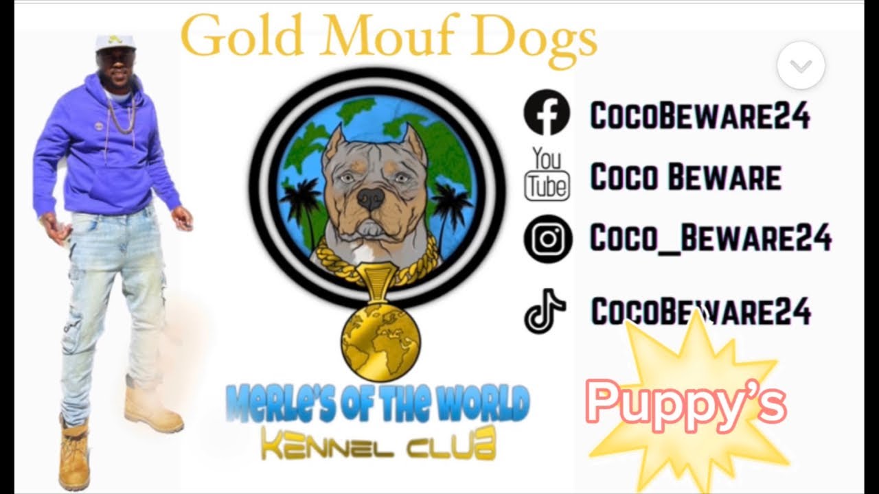 Coco Beware is going live!real quick - YouTube