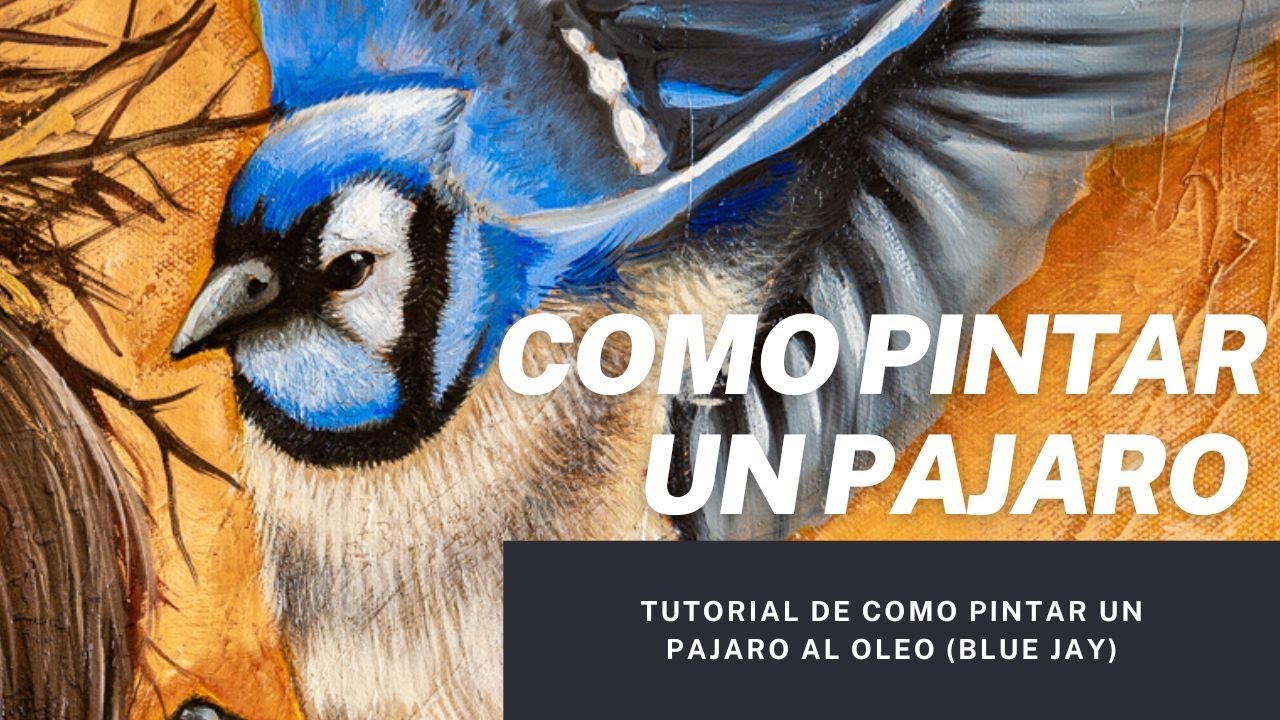 Como pintar un pajaro - YouTube