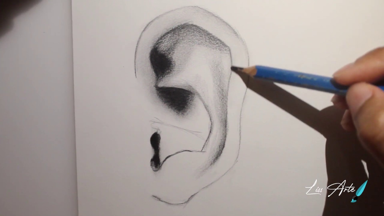 Cómo dibujar una oreja pt.1 / How to Draw an ear part 1 - YouTube