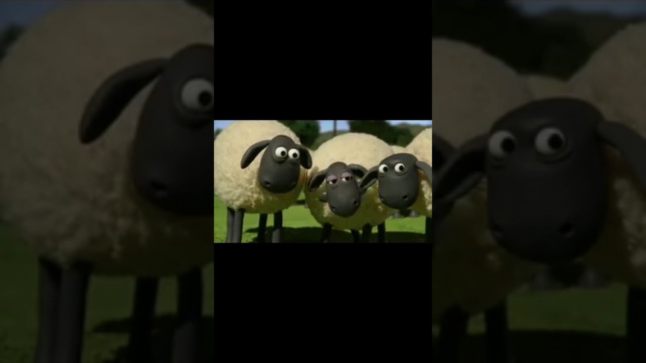 Shaun the ship 3 episode - YouTube