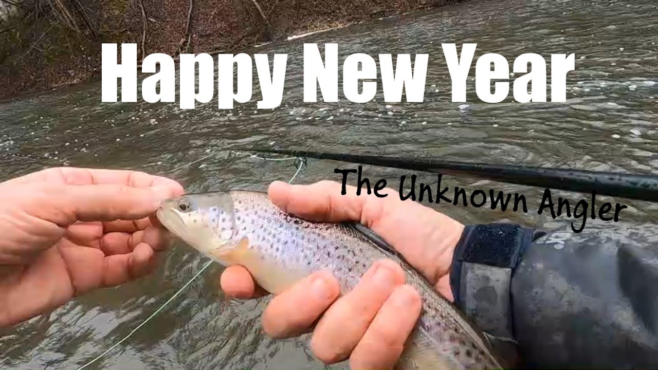 Happy New Year : First fish of 2025 - YouTube