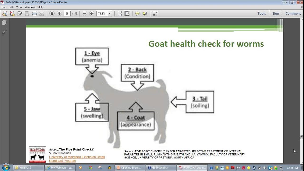 Goatmeat Webinar - FAMACHA and goats: A practical on-farm technique for ...