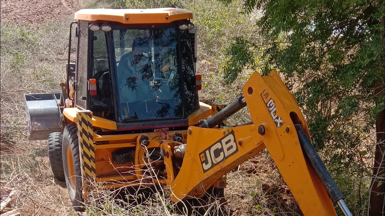 JCB VS BIG TREE - Powerful JCB Pushing Down A Big Tree - JCB VIDEO 4 ...