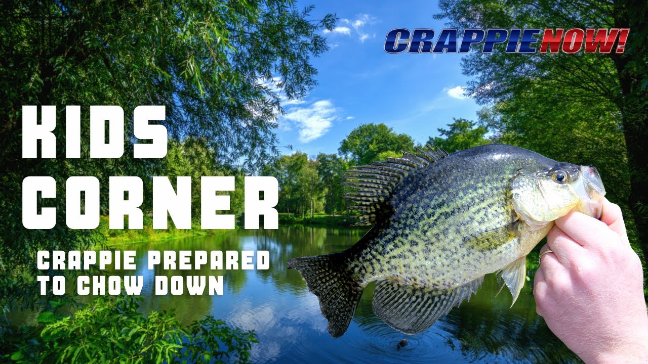 Crappie Kids – Crappie Anatomy and How Crappie Eat - YouTube