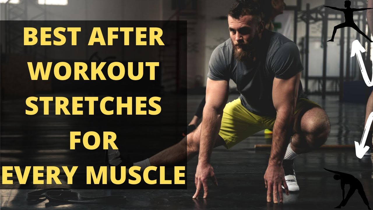 Full Body After Workout Stretching Exercises || Stretching Exercises ...