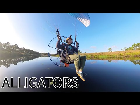 Flying Over Alligators On My Paramotor! - YouTube