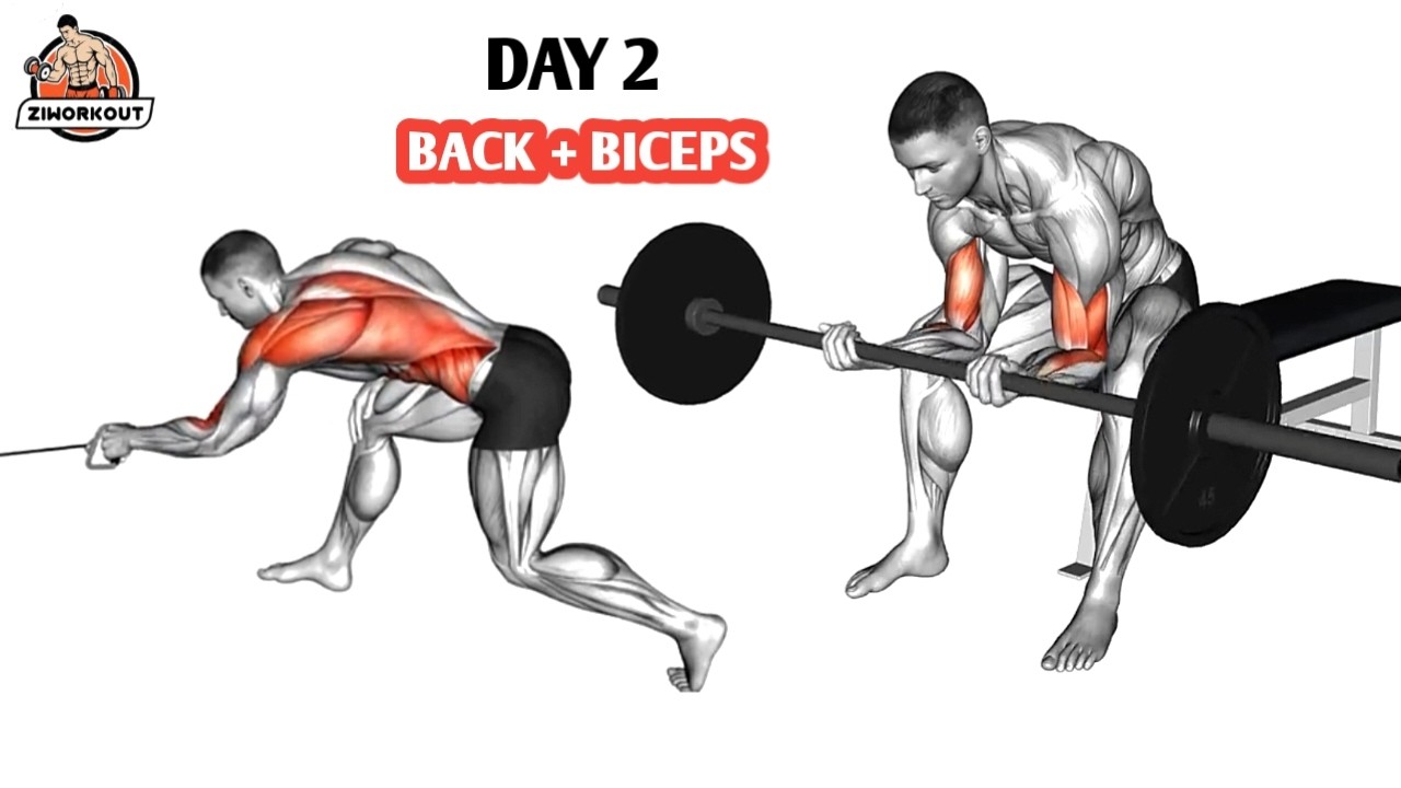 👉 Day 2 Back & Biceps Workout for V Shape | 1 Week Split 🔥 - YouTube