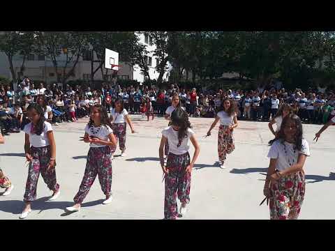 ERİK DALI HALK OYUNU GÖSTERİSİ