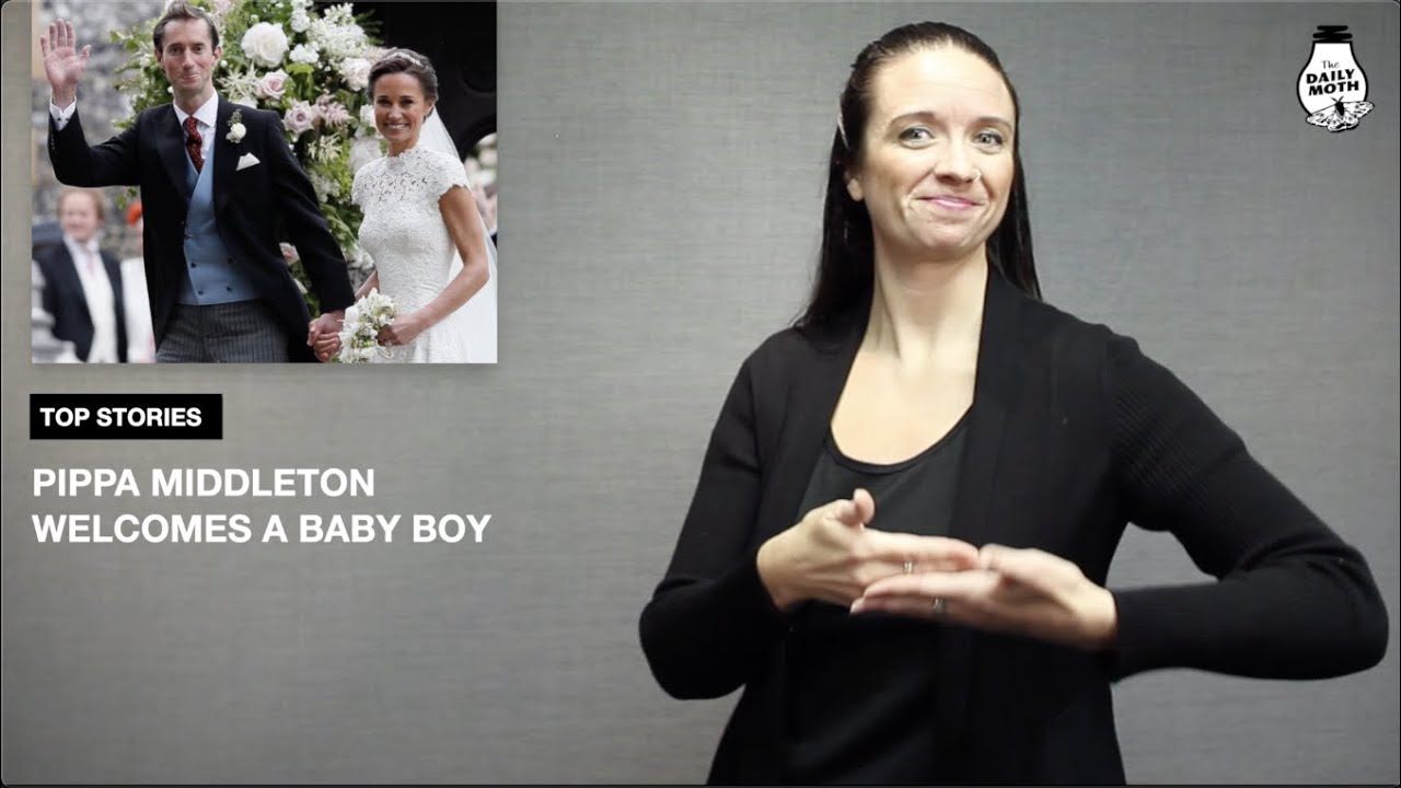 The Daily Moth 10-17-2018 - YouTube