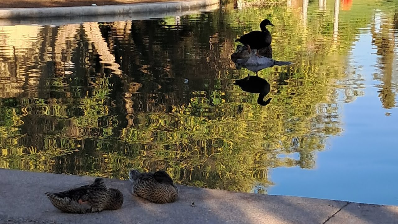 What to think vs. HOW TO THINK 🤔 - YouTube