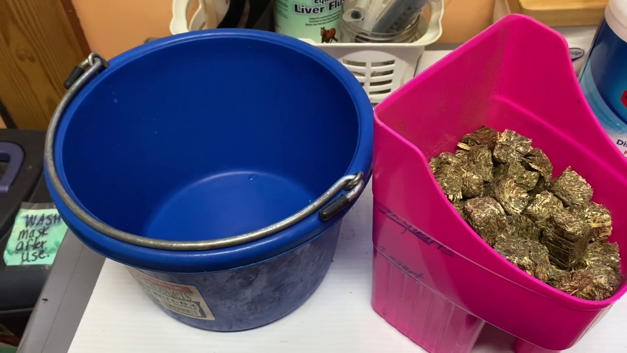 Soaking hay cubes and beet pulp - YouTube
