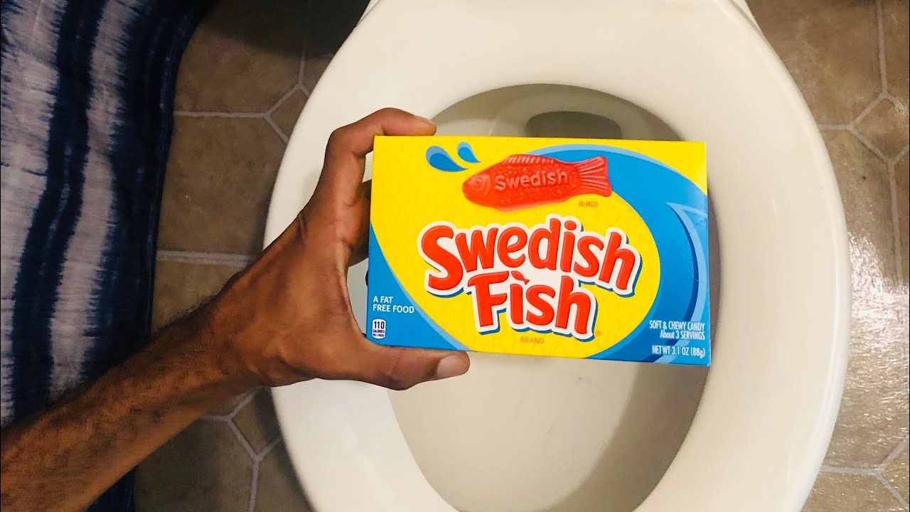Will it Flush? - Swedish Fish - YouTube