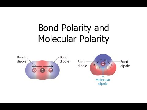Polar Bonds and Polar Molecules - YouTube
