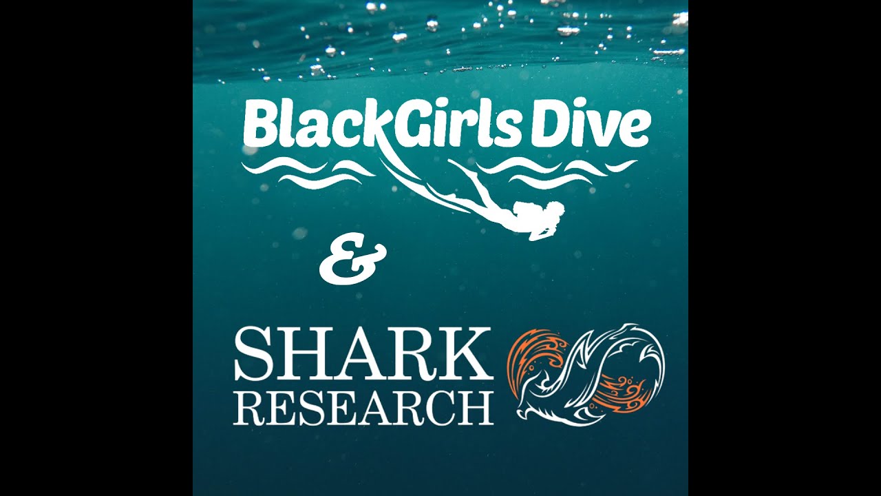 BGDF + SRC - YouTube