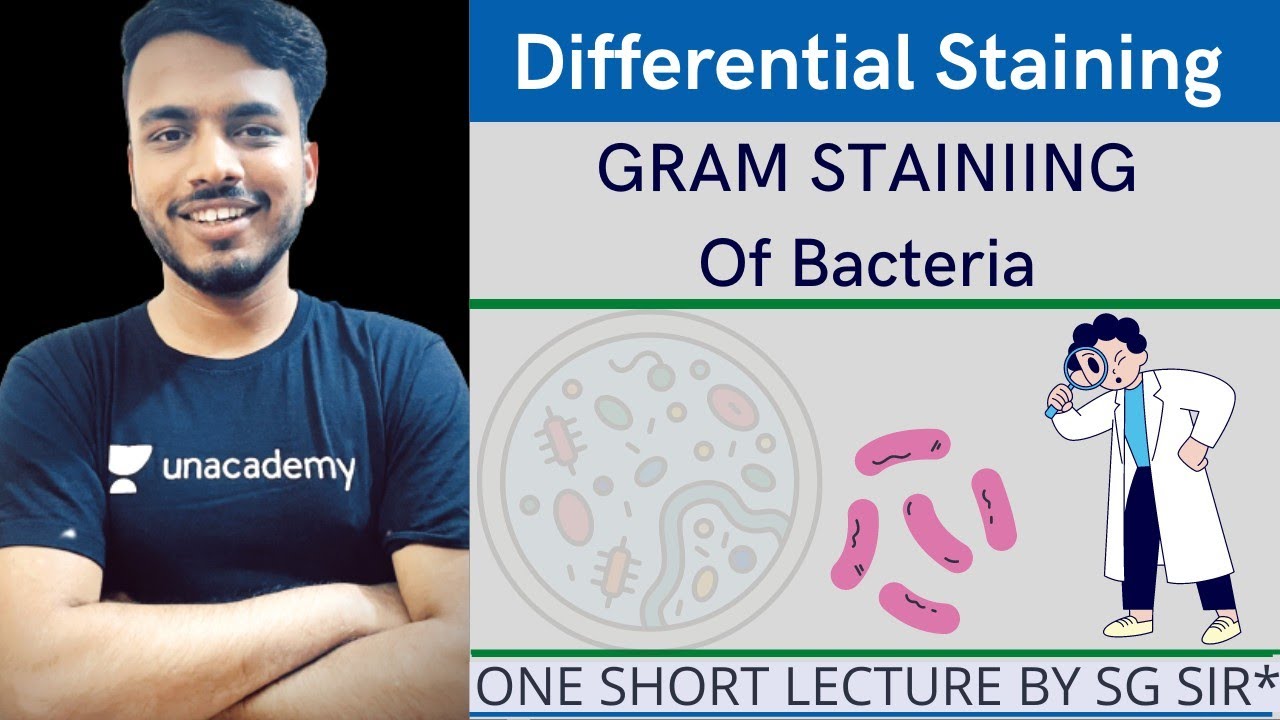 differential staining || gram staining of bacteria || gram staining ...