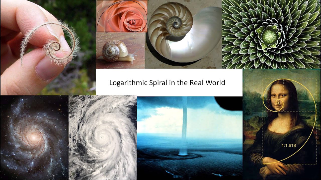 Facts of the euler number - YouTube