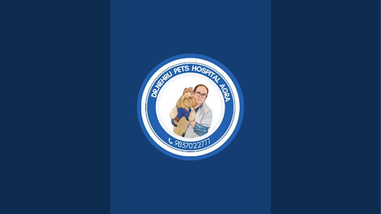 Dr. Nehru Pet Hospital is live! - YouTube