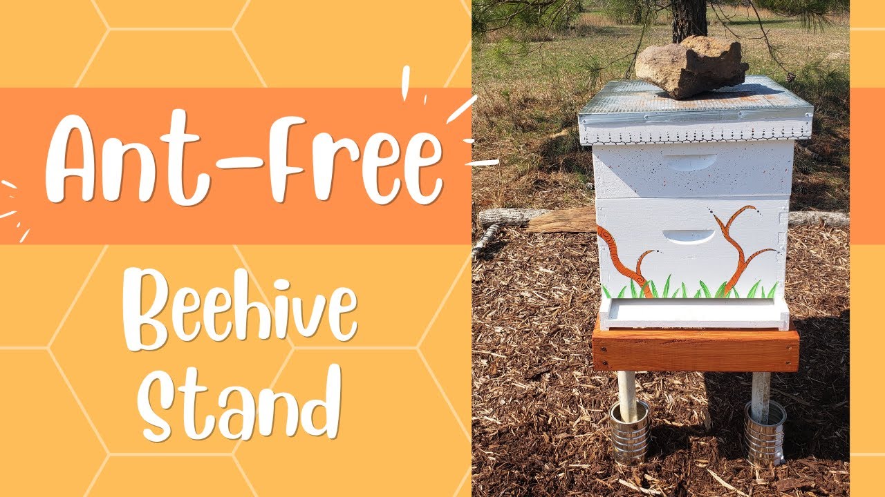 Bee Hive Stand with PVC Legs // Ant-free Bee Stand // Tennessee ...