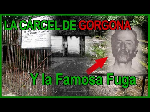 La Cárcel De Gorgona Y La Fuga de  \