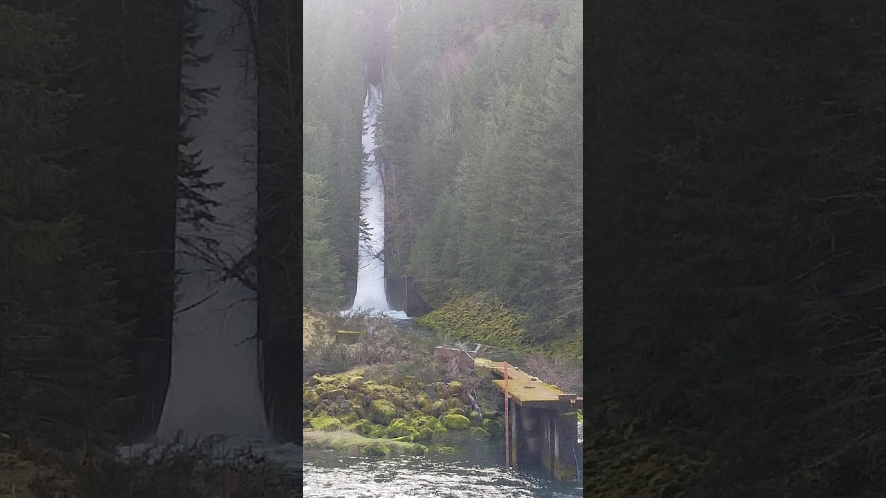 Cougar Dam Falls - YouTube