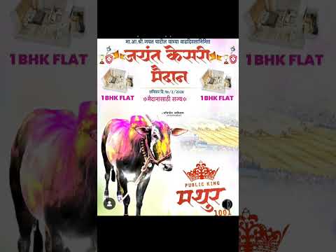 mathur bail sharyat ️ mathur 1001 ️ mathur 17 tarkhe sathi saj # ...