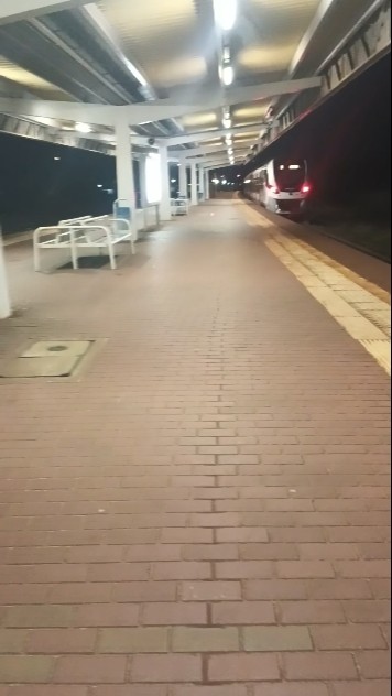 WYJAZD 58WE 007 I 58WE 008 NA LINII S1 DO GDAŃSKA ŚRÓDMIEŚCIE - YouTube